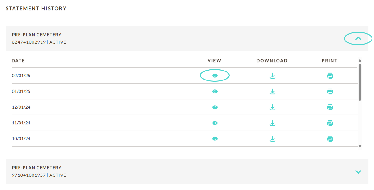 view statement instructions